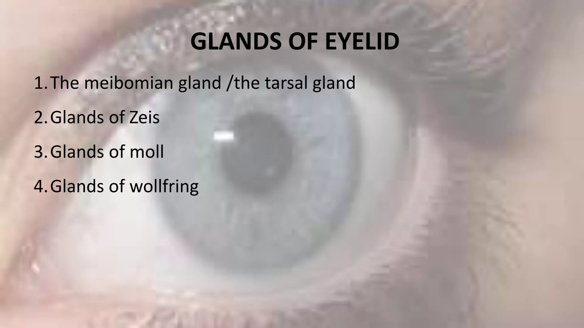 Diseases of eyelid.pptx