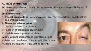 Diseases of eyelid.pptx