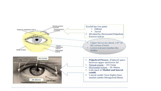 EYELID DISEASES in ophthalmology medicine .pptx
