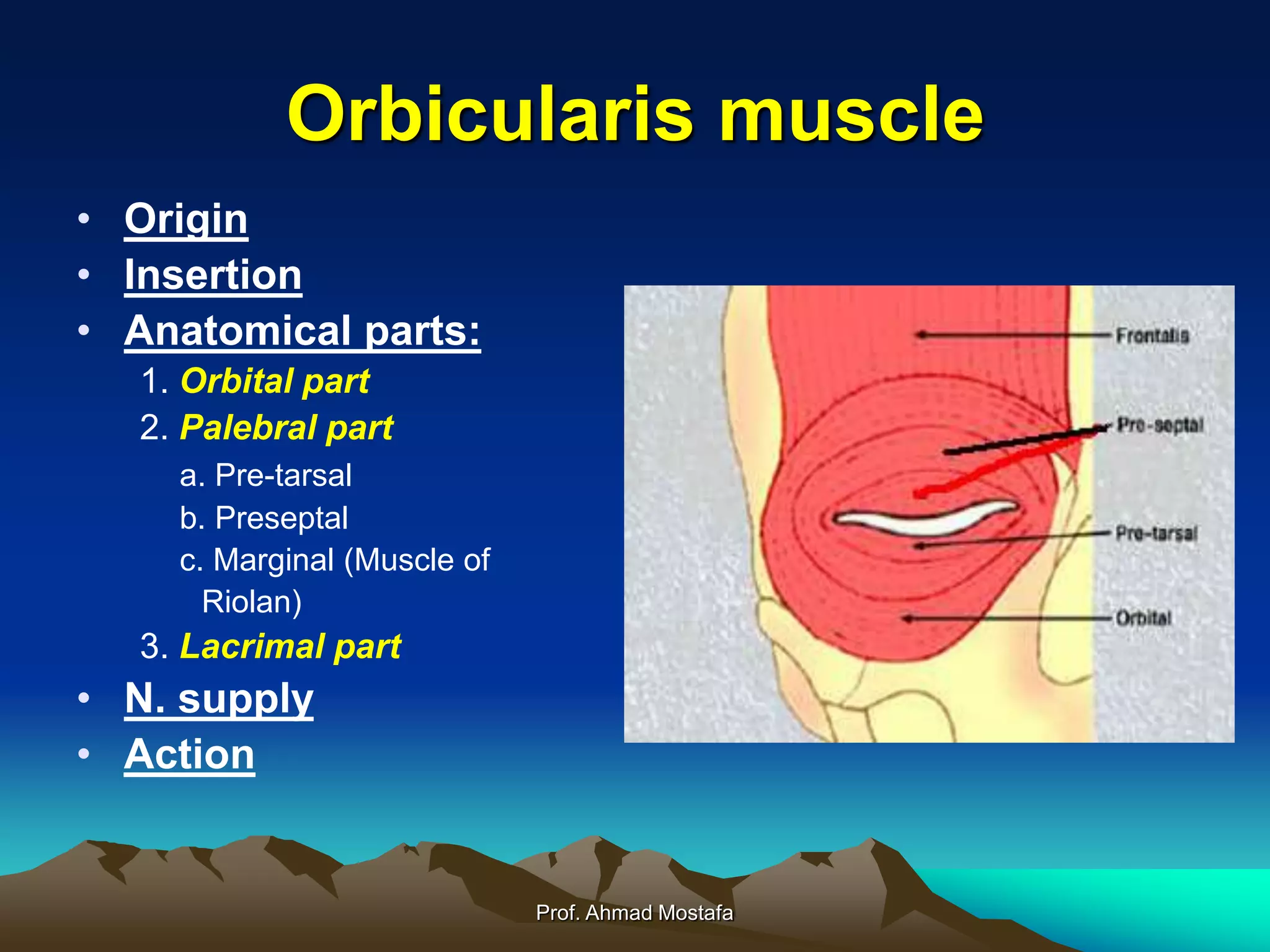 Eyelid disorders | PPT