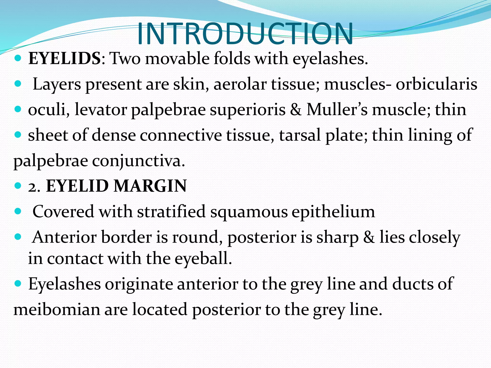 Eyelid infection | PPTX