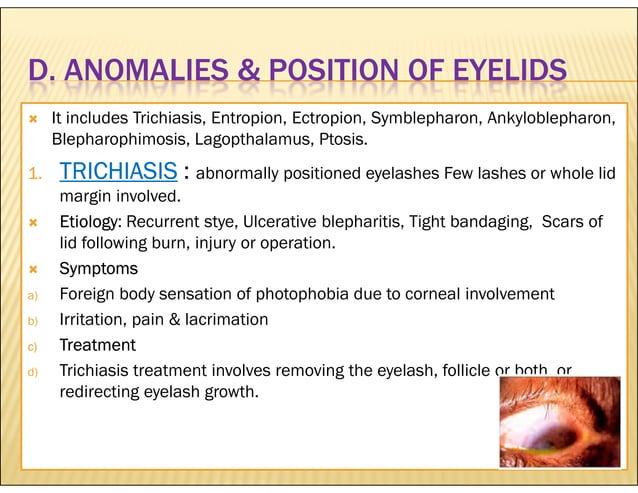 eyelid infection OM VERMA 2023.pdf
