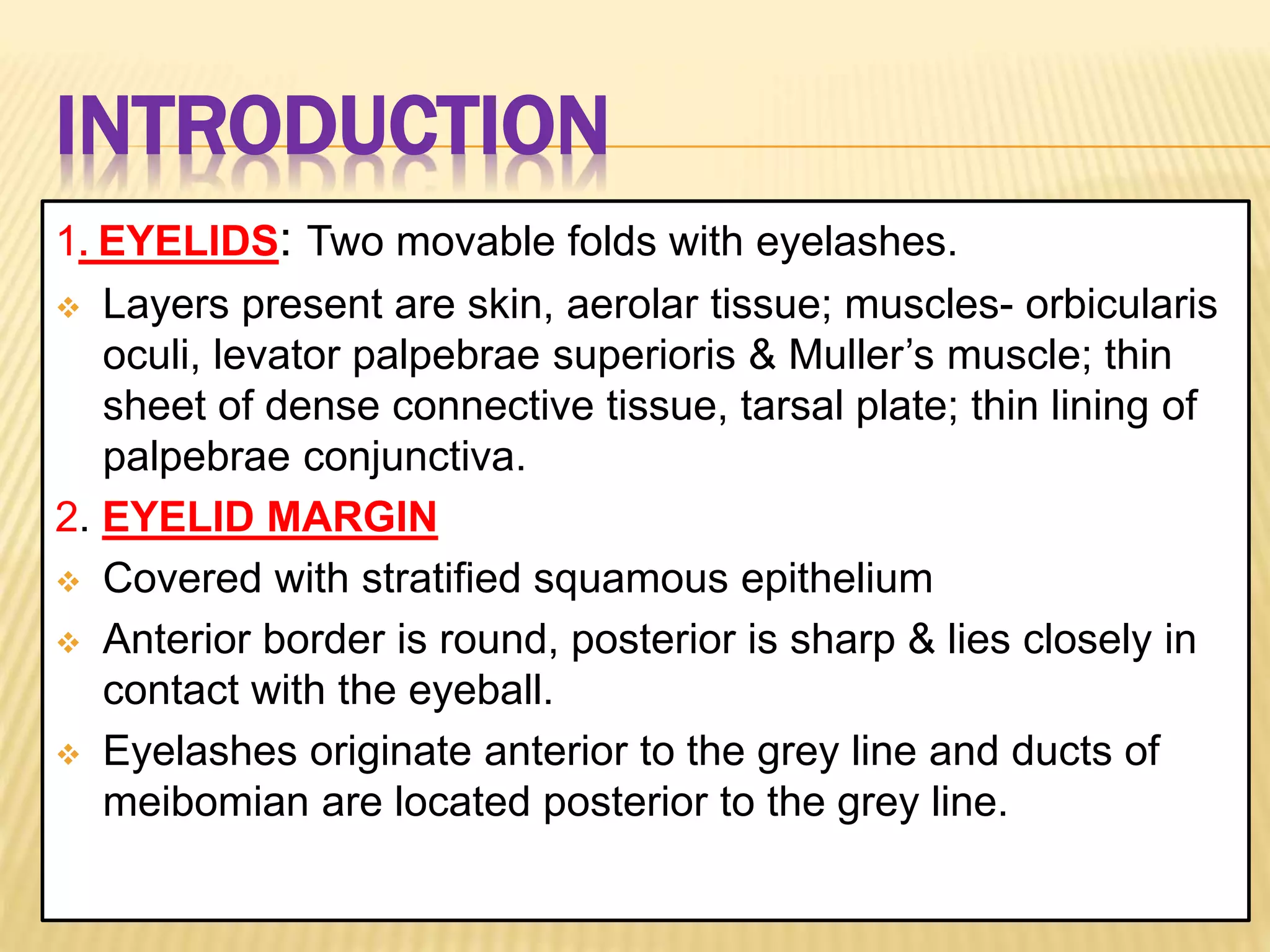 Eyelid infections ppt | PPTX