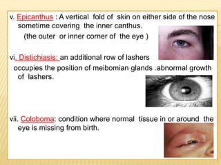 Eyelid infections ppt | PPTX