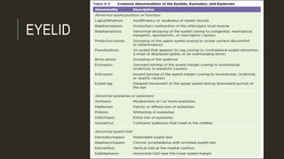 Eyelid, Lacrimal System, and Orbital Examination (1).pptx