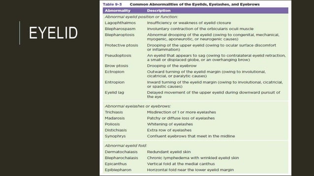 Eyelid, Lacrimal System, and Orbital Examination (1).pptx