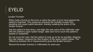 Eyelid, Lacrimal System, and Orbital Examination (1).pptx