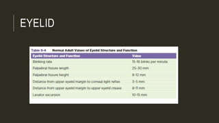 Eyelid, Lacrimal System, and Orbital Examination (1).pptx