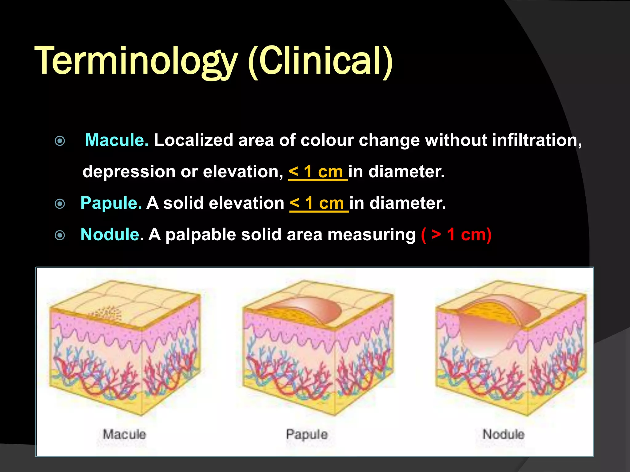 Eyelid pathology 1 | PDF
