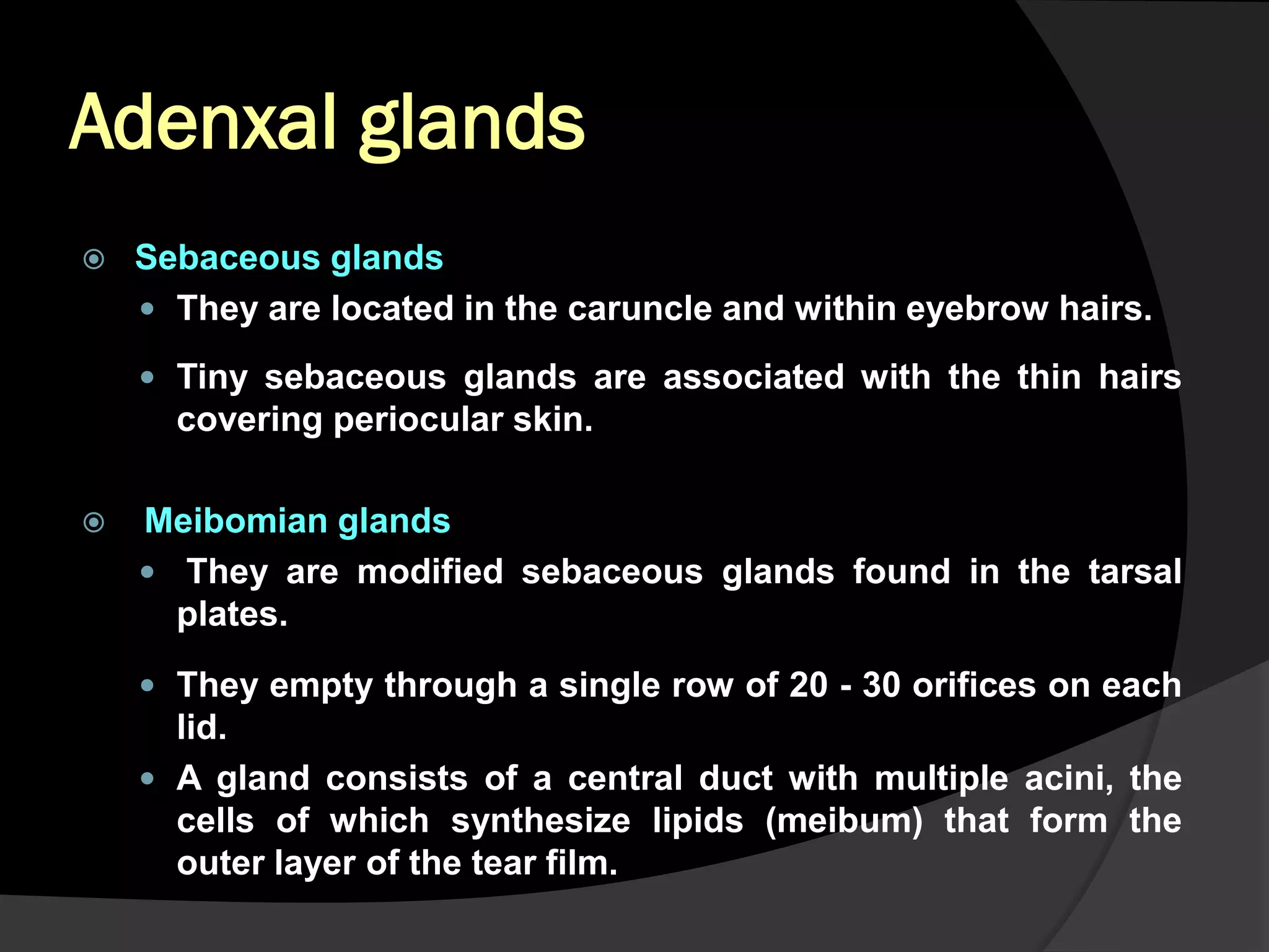 Eyelid pathology 1 | PDF