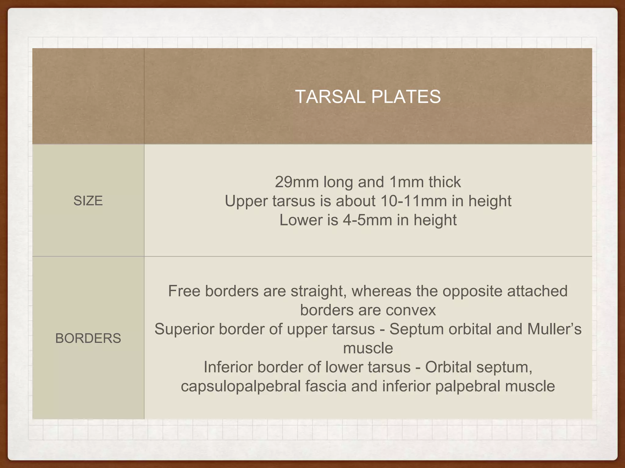 Anatomy of Eyelids | PPTX