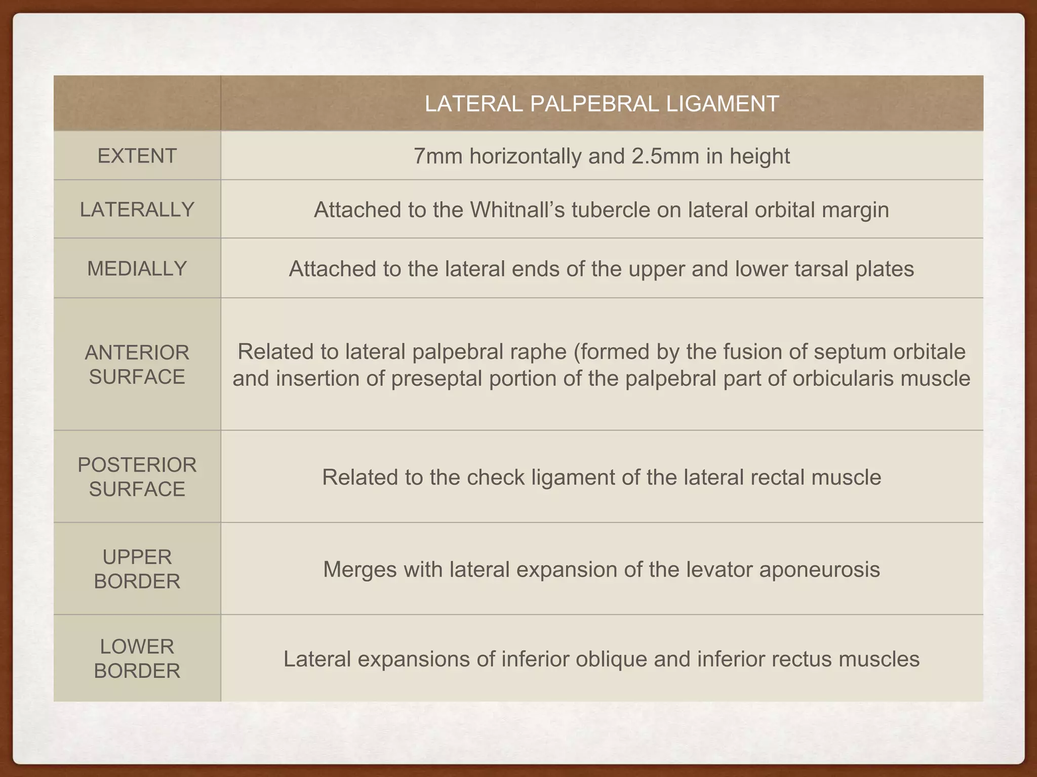 Anatomy of Eyelids | PPTX