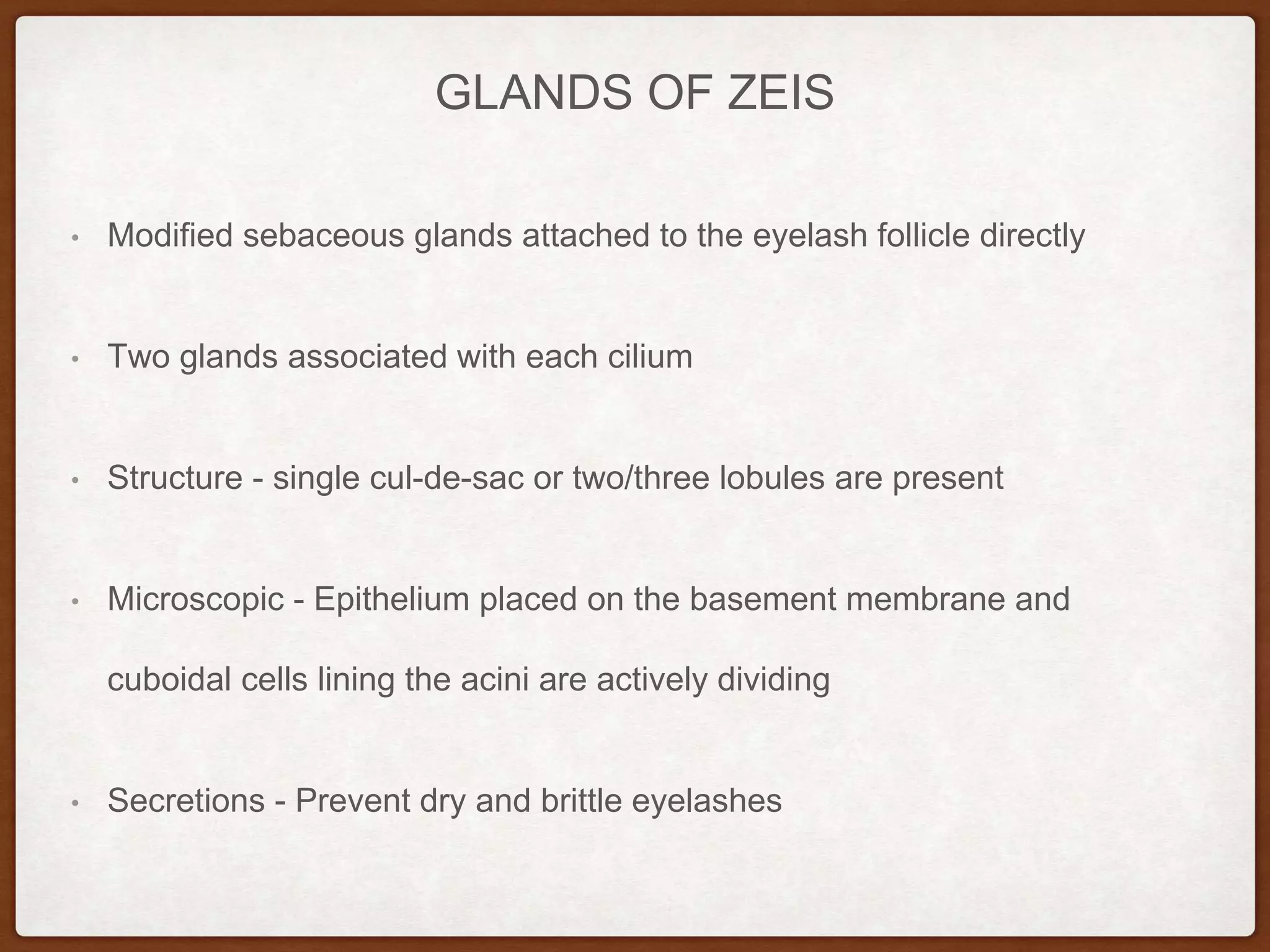 Anatomy of Eyelids | PPTX