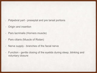 Anatomy of Eyelids | PPTX