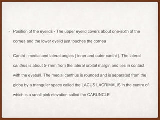 Anatomy of Eyelids | PPTX