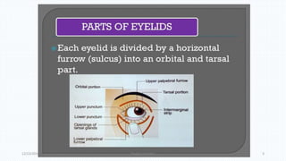 Eye lids | PPTX