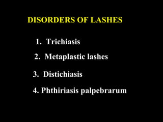 Eye lids disorders of lashes | PPT | Eye and Vision Conditions ...
