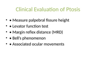 Comprehensive Overview of Eyelid Anatomy and Ptosis Management | PPTX