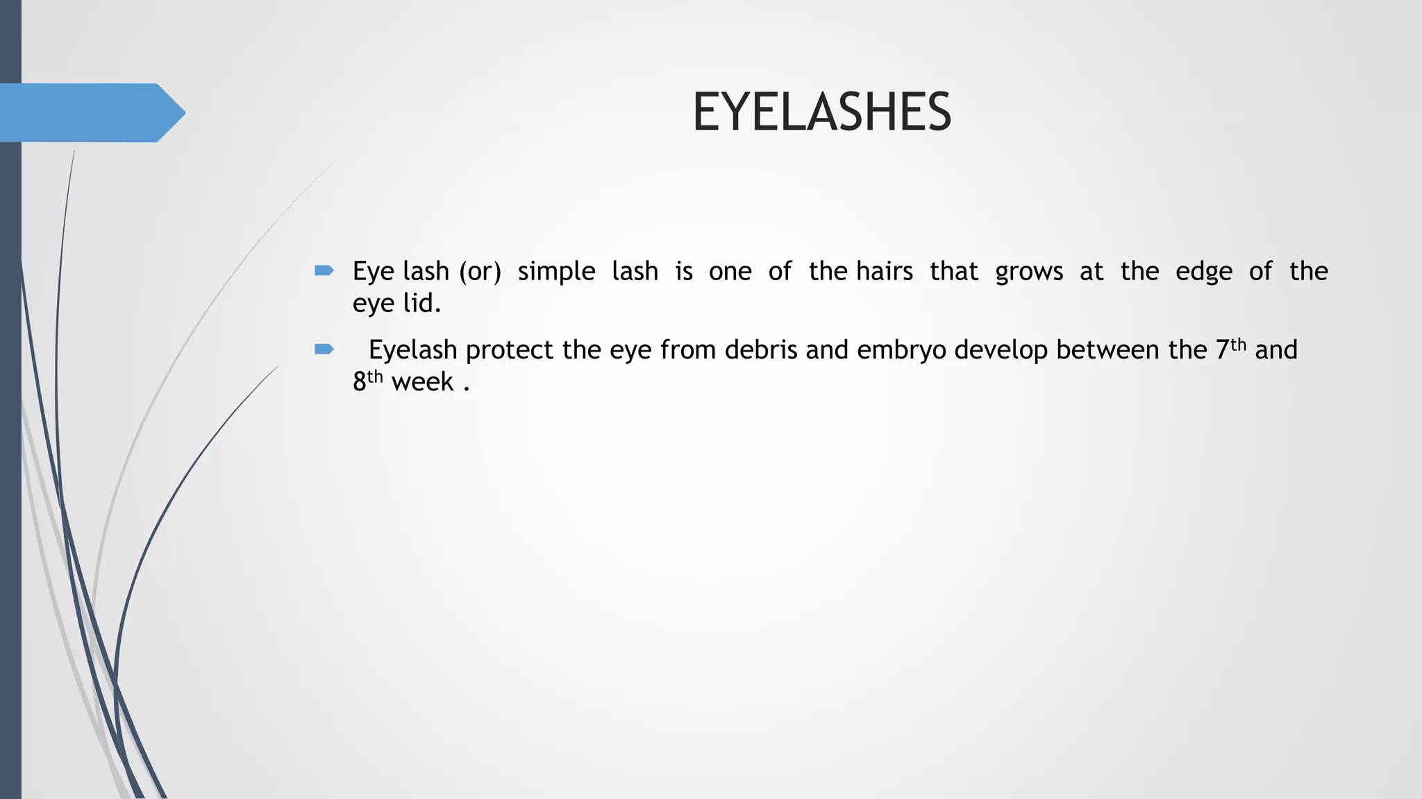 EYE COSMETICS AND ITS FORMULATION AND PROCEDURE | PPTX