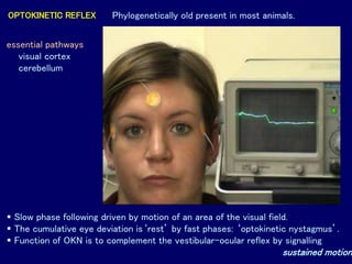 eye movements saccades, pursuit, optokinetic.ppt