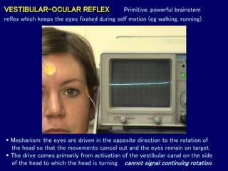 eye movements saccades, pursuit, optokinetic.ppt