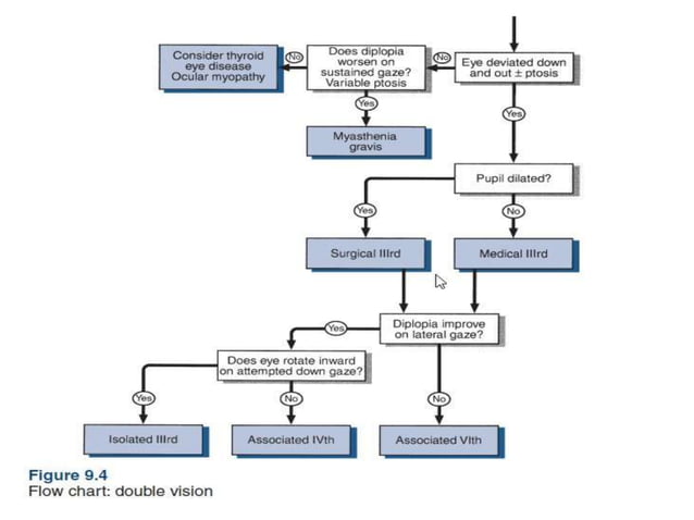 Eye movements examination | PPTX | Eye and Vision Conditions | Diseases ...