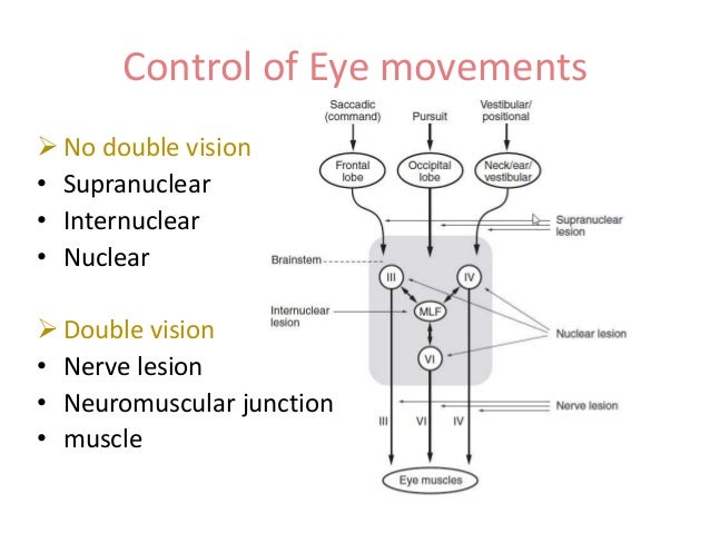 Eye movements examination
