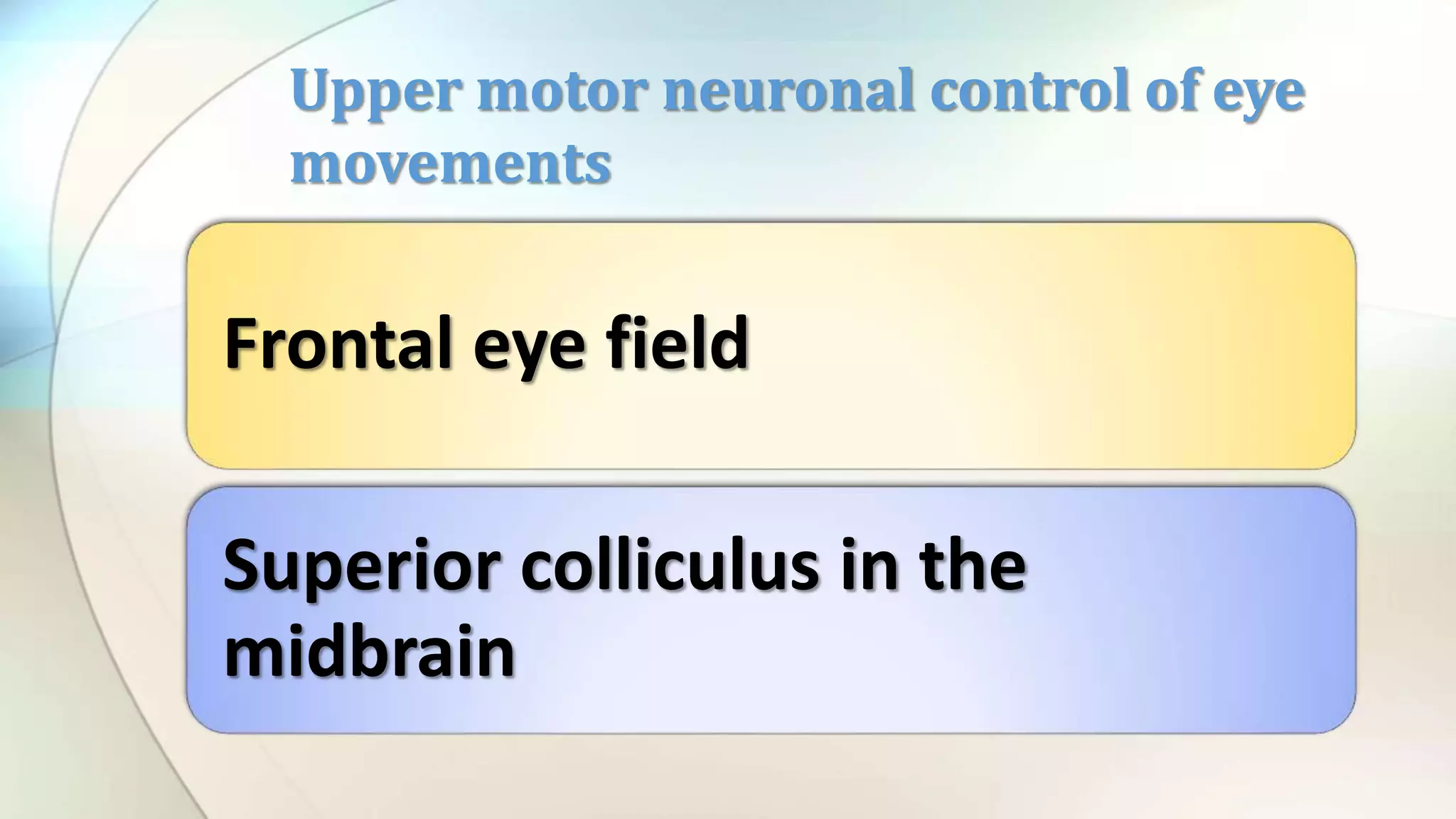 Eye movements | PPSX