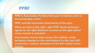 Eye movements | PPSX