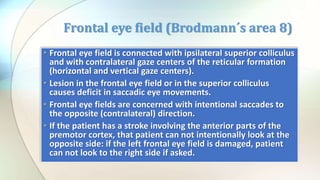 Eye movements | PPSX | Eye and Vision Conditions | Diseases and Conditions