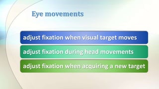 Eye movements | PPSX
