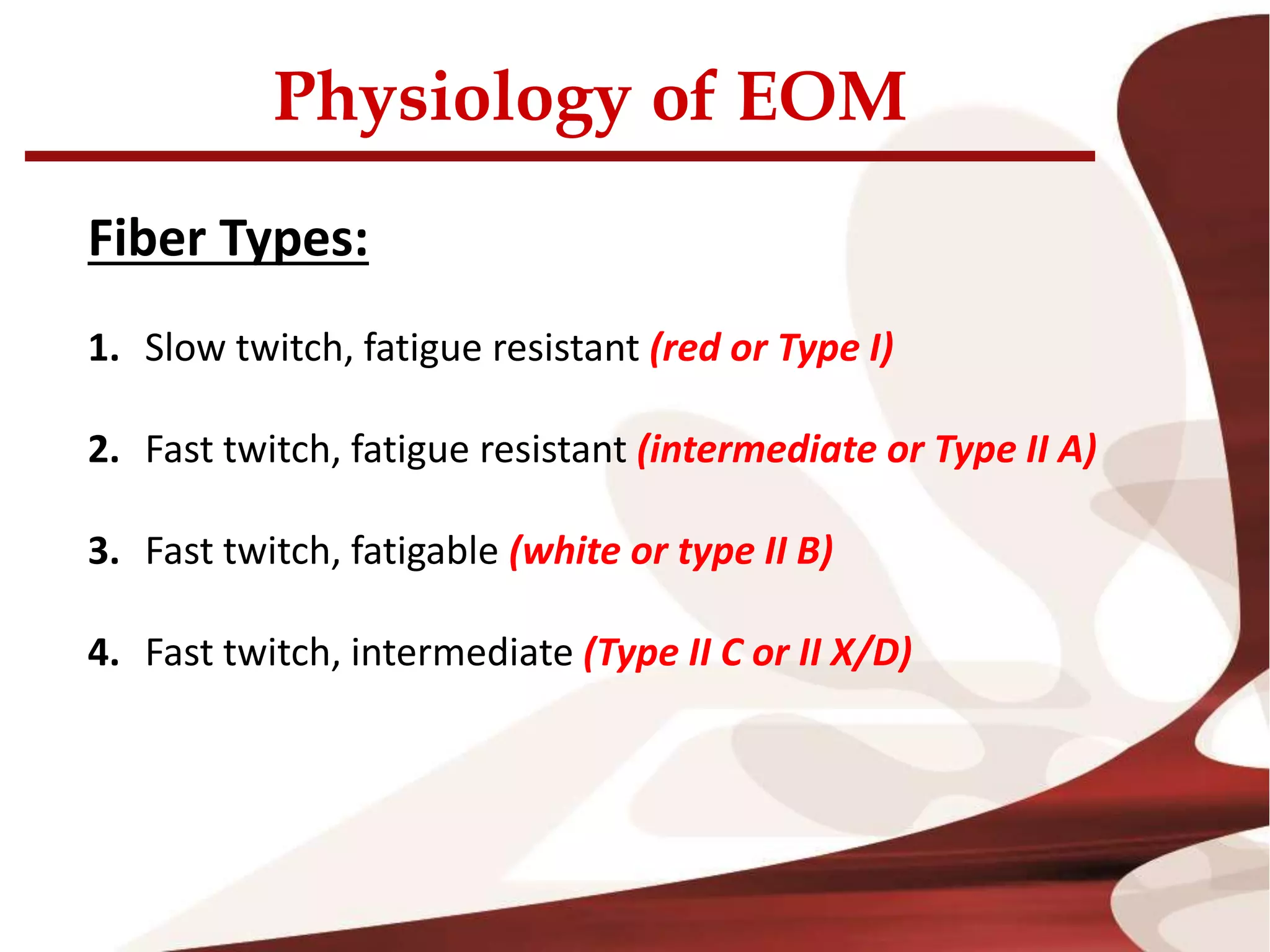 Eye Muscles Anatomy | PPTX