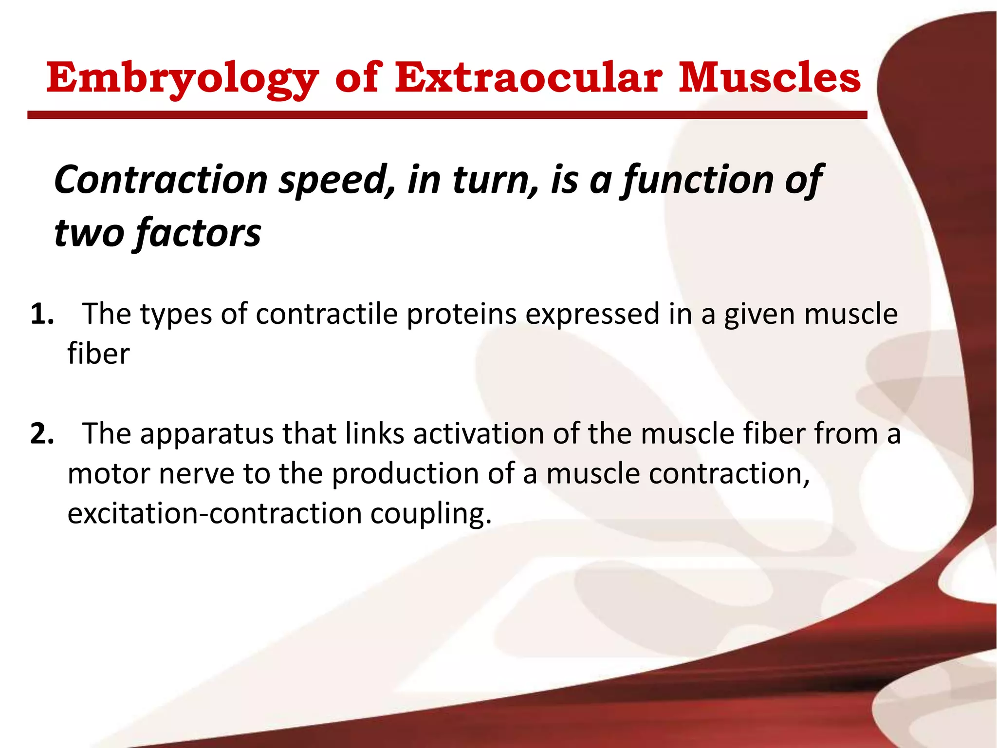 Eye Muscles Anatomy | PPTX