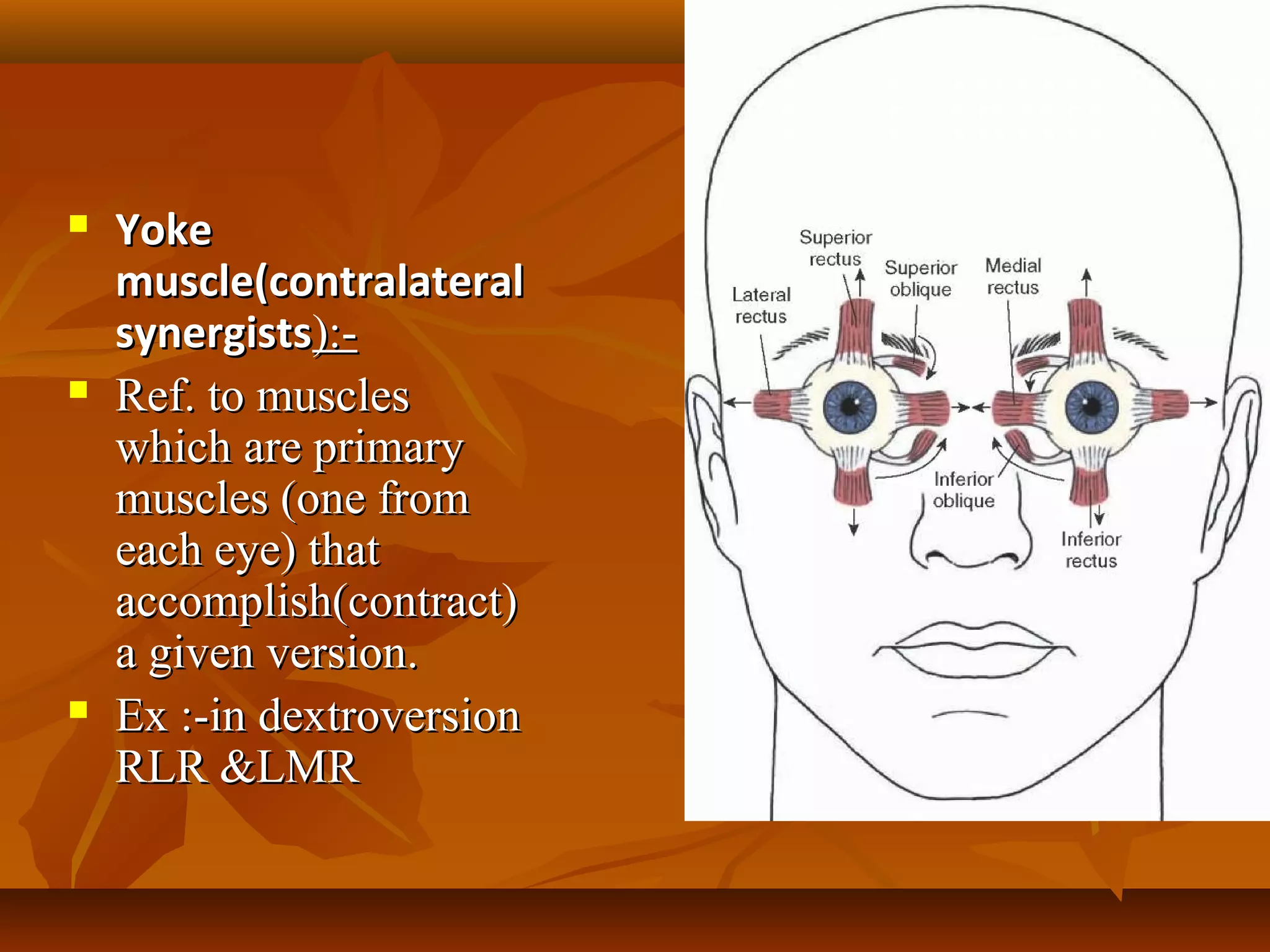 Eye muscles and ocular movements, laws of ocular motility | PPT