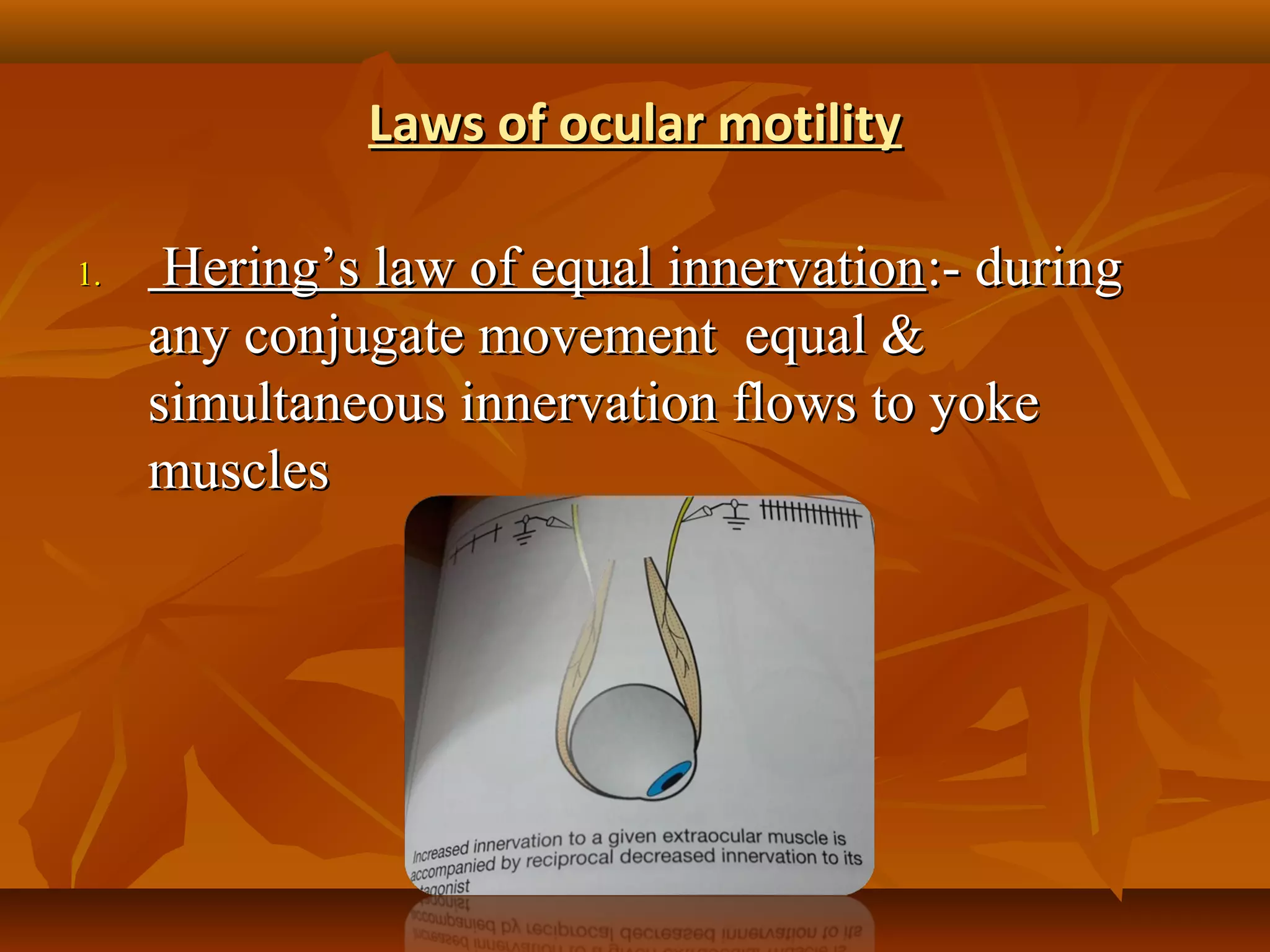 Eye muscles and ocular movements, laws of ocular motility | PPT