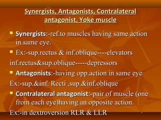 Eye muscles and ocular movements, laws of ocular motility | PPT