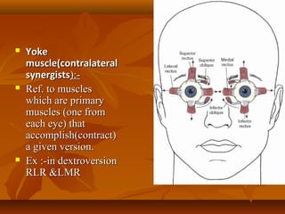 Eye muscles and ocular movements, laws of ocular motility | PPT