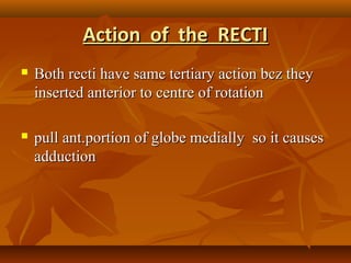 Eye muscles and ocular movements, laws of ocular motility | PPT
