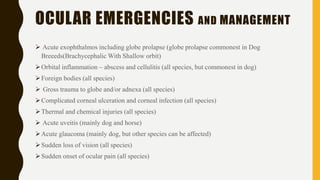 OCULAR EMERGENCIES | PPTX