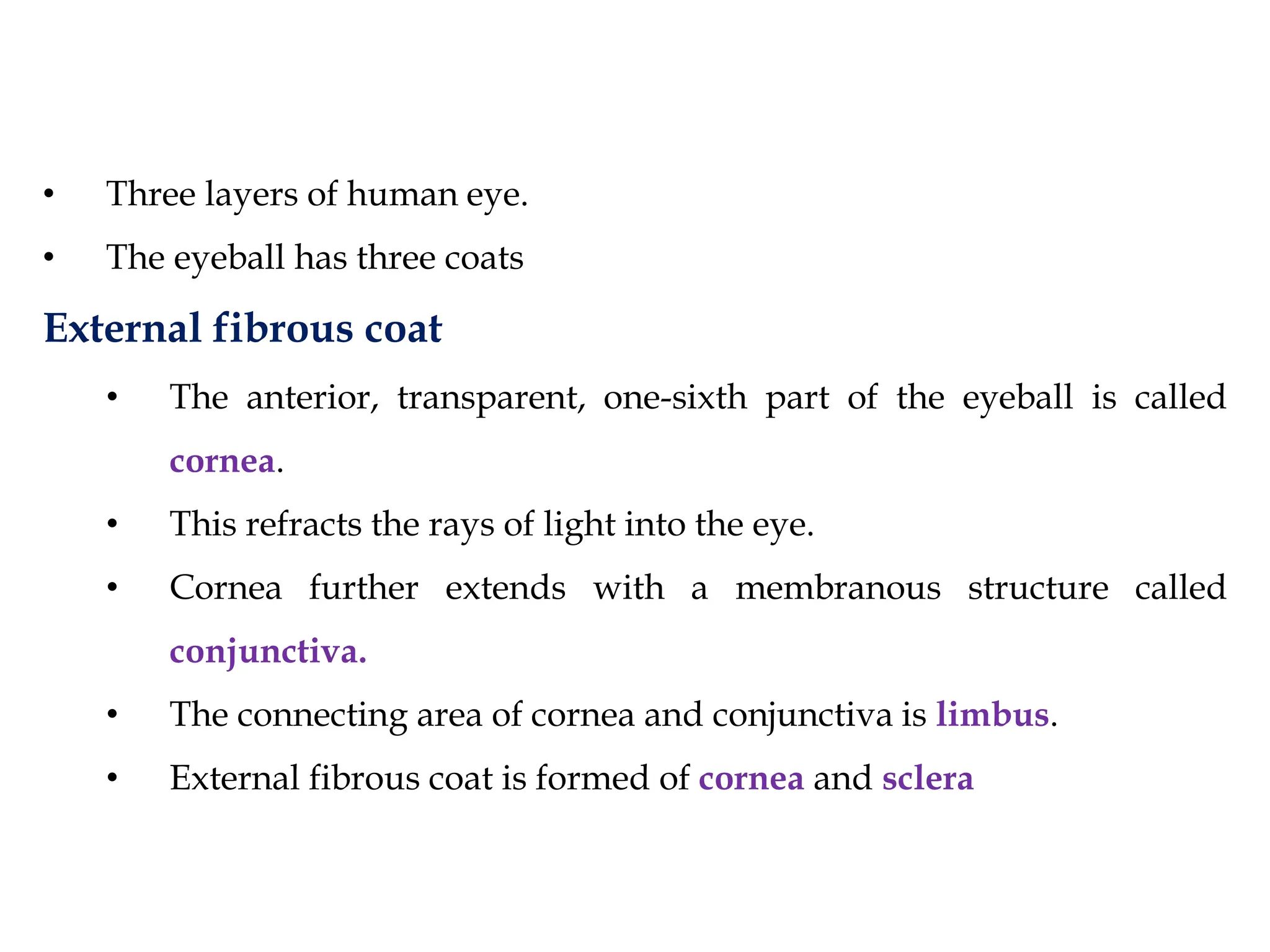 Eye and its disorders in anatomy and physiology | PPTX