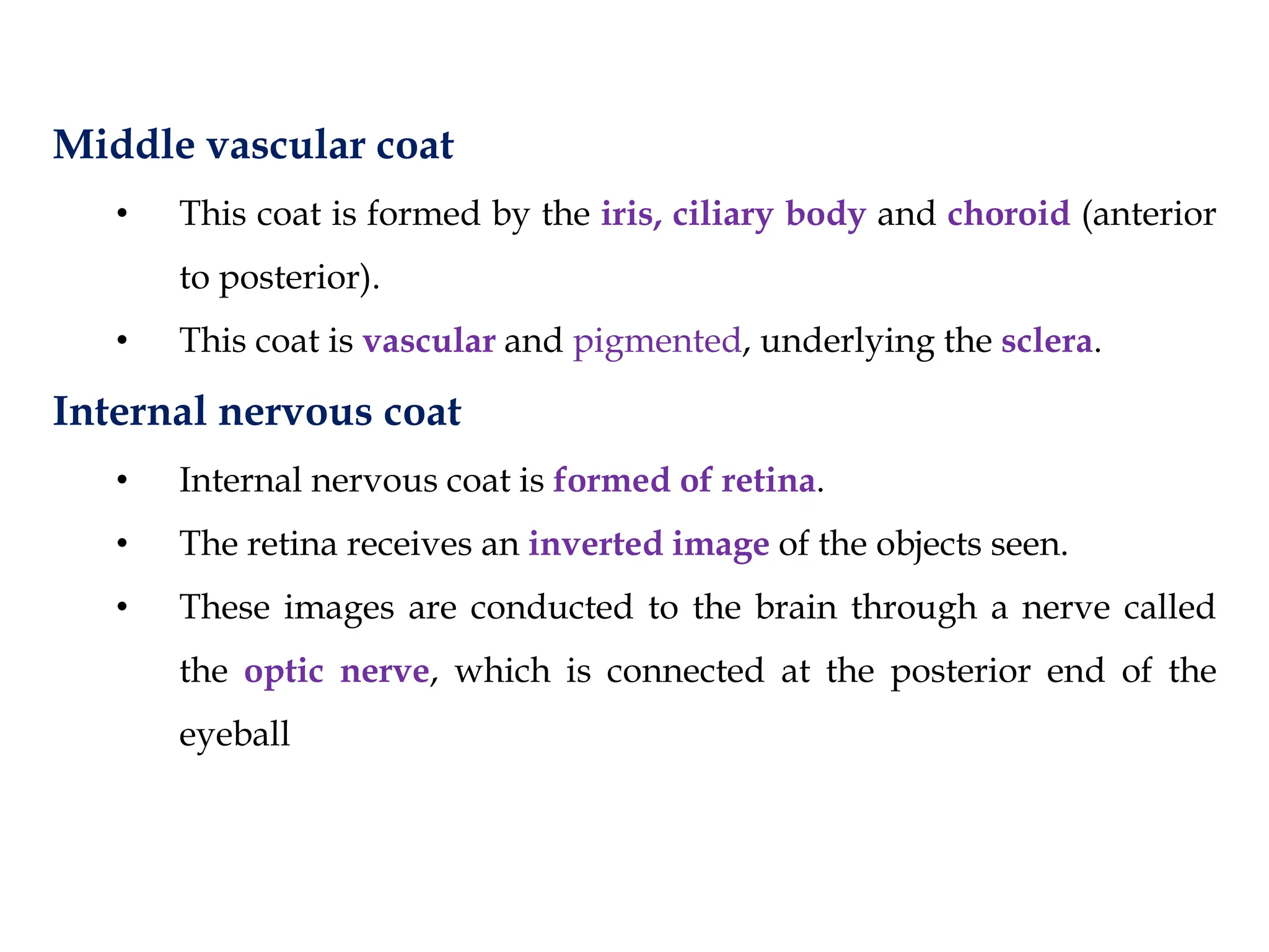 Eye and its disorders in anatomy and physiology | PPTX