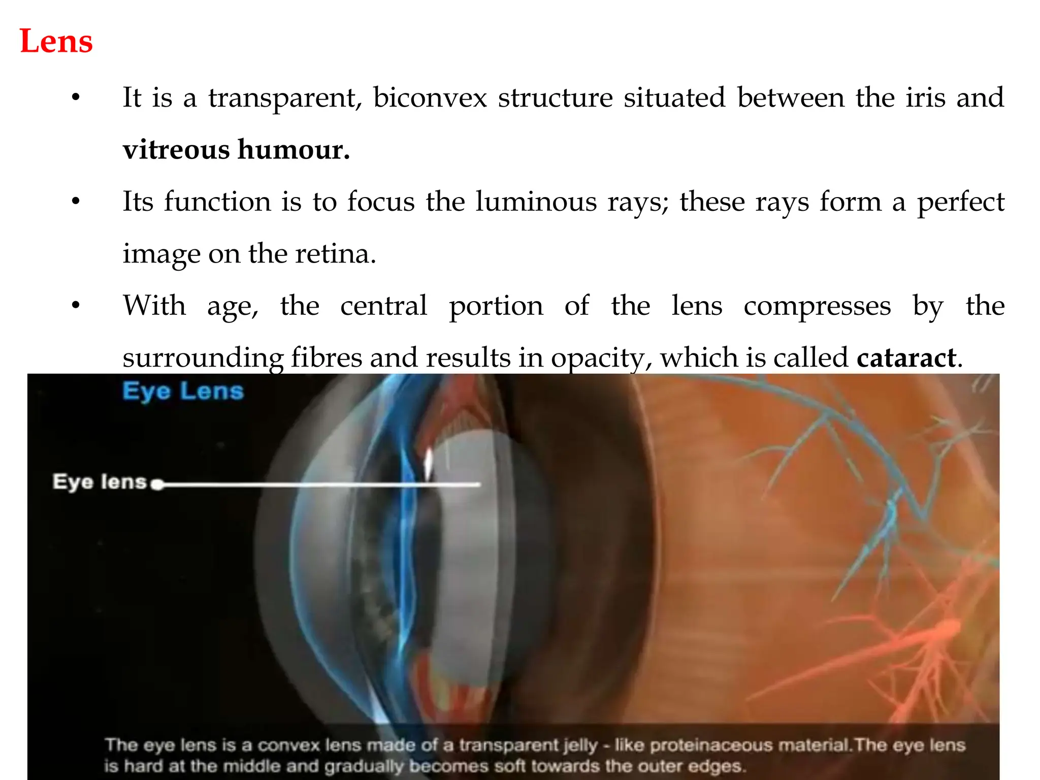Eye and its disorders in anatomy and physiology | PPTX
