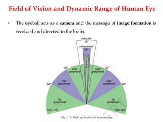 Eye and its disorders in anatomy and physiology | PPTX