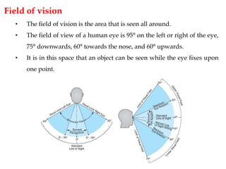 Eye and its disorders in anatomy and physiology | PPTX