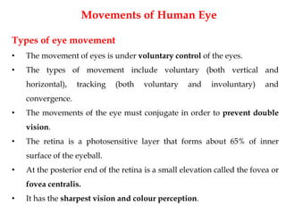 Eye and its disorders in anatomy and physiology | PPTX