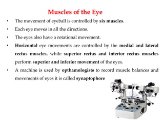 Eye and its disorders in anatomy and physiology | PPTX