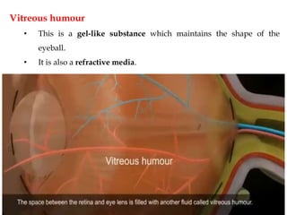 Eye and its disorders in anatomy and physiology | PPTX