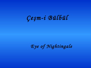 Eye Of Nightingale | PPS