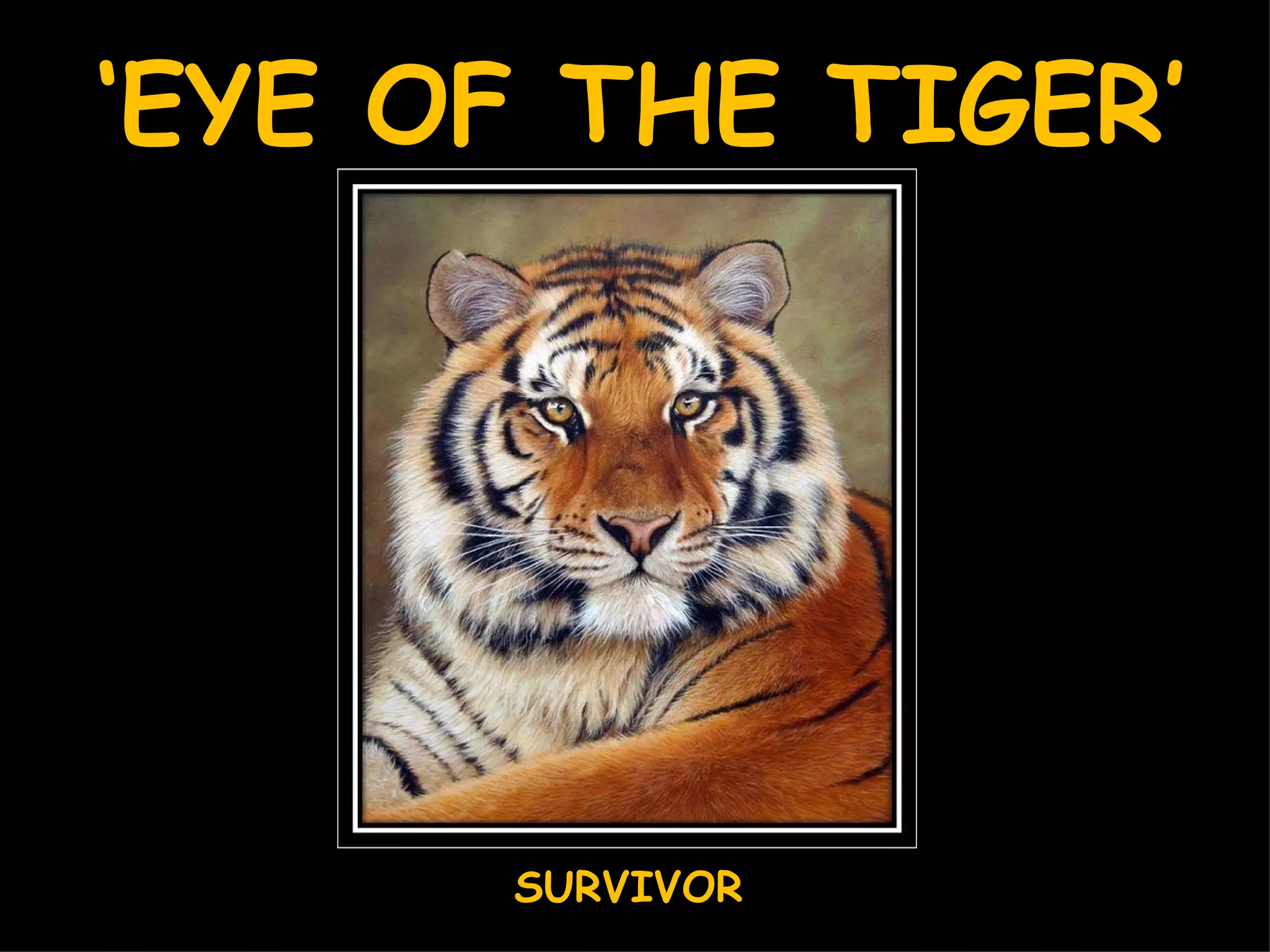 'Eye Of The Tiger' | PPS