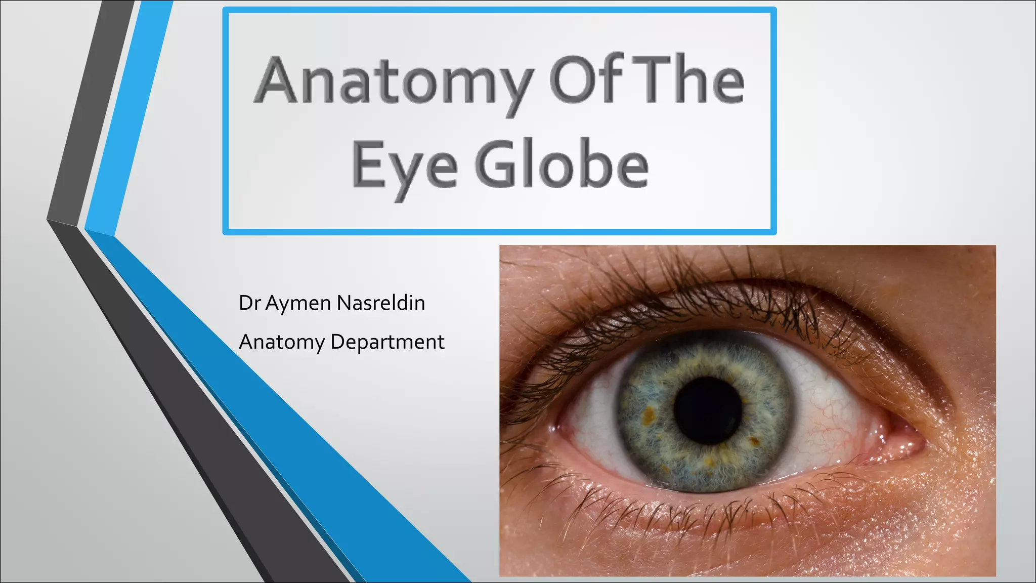 Eye optic nerve and visal pathway.pdf